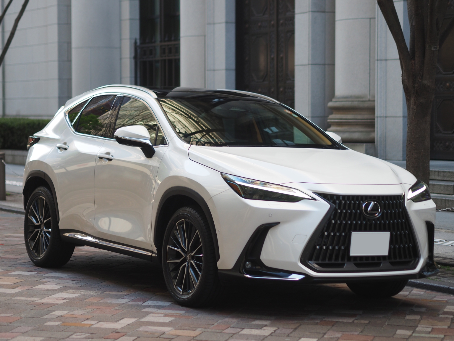 ネット通販で購入できる20系新型レクサスNX用アイテムのまとめ | LIFE with NX